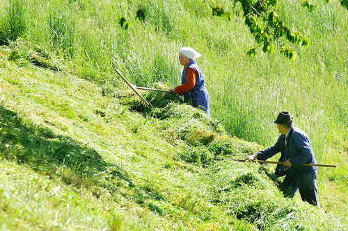 Land Oberösterreich - Bergbauern